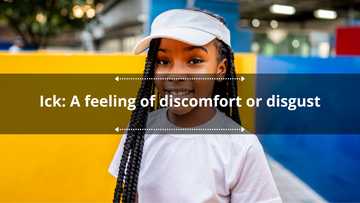 50 Gen Alpha slang words that parents and teachers have to know - Legit.ng