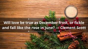 100 December quotes to inspire joy, reflection and holiday cheer - Legit.ng