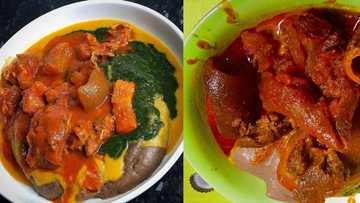 Top 10 Yoruba foods, their names, pictures, and ingredients - Legit.ng
