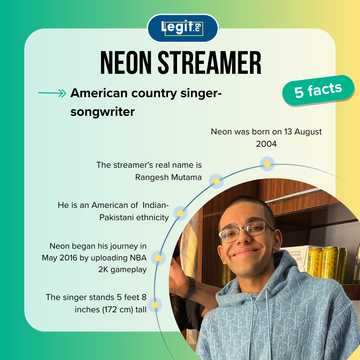 Who is Neon Streamer and how did he get so famous? - Legit.ng