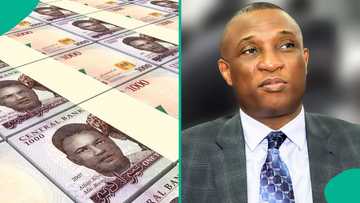 Federal Government Releases List of Approved Loan Apps in 2026 - Legit.ng