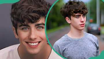 Where is Cameron Herrin now? His car accident and release date - Legit.ng