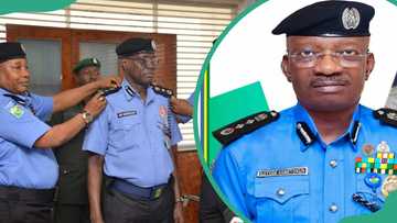 Nigerian police ranks, symbols, duties and salaries (updated) - Legit.ng