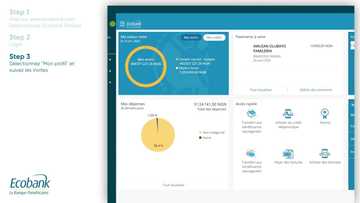 Ecobank transfer code to other banks: List of USSD codes - Legit.ng