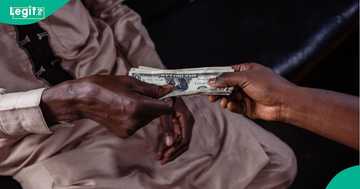 Naira Appreciates Again, Secures New Ranking Among African Currencies ...