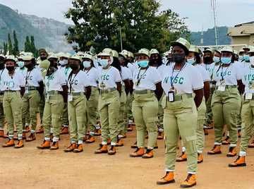 NYSC discharge certificate number: all you need to know - Legit.ng