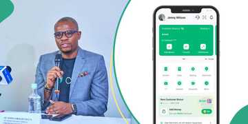 Fraud Alert: Palmpay, Opay Take Action, Announces Account Changes, Customers To Update - Legit.ng