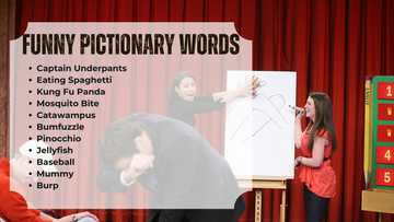 490+ Pictionary ideas: easy, medium and hard ideas for every category ...