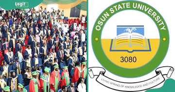 UNIOSUN admission portal: How to check your admission status and next ...