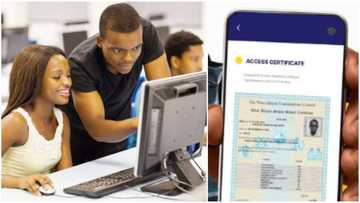 WAEC Digital Certificate: How to Access, Share and Confirm Your ...