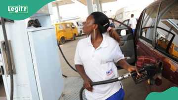 “N765 Per Litre”: NNPC Crashes Dangote Petrol Price as Marketers Lift Products, Adjust Pumps ...