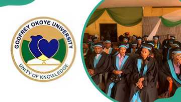 Godfrey Okoye University courses, fees and admission requirements - Legit.ng