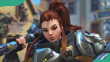 How many Overwatch female characters are there? Their names and ranks ...