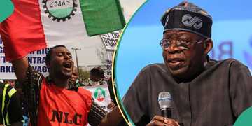 BREAKING: FG Says Proposed NLC/TUC Strike Is Illegal, Gives Reasons - Legit.ng