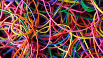 Top 10 uses of rubber in our daily life - Legit.ng