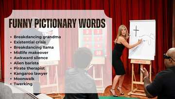 490+ Pictionary ideas: easy, medium and hard ideas for every category ...