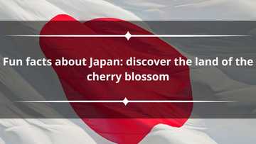 20 fun facts about Japan: discover the land of the cherry blossom ...