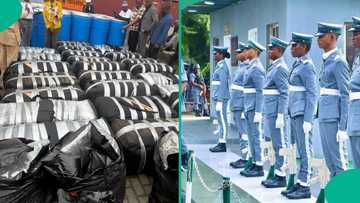 Breaking: Customs Intercepts N12.7 billion Worth of Canadian Loud, Fake ...