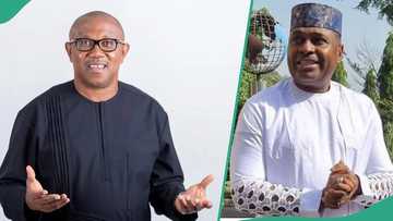 “How Peter Obi Betrayed Me,” Kenneth Okonkwo Speaks In Trending Interview - Legit.ng