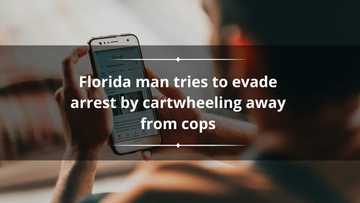 40 craziest Florida Man headlines that have kept the meme alive - Legit.ng