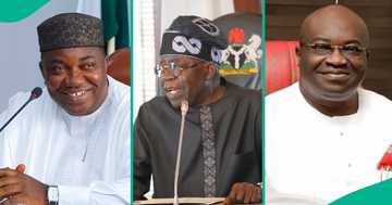 2 Former Southeast Govs, Others Mentioned As Tinubu is Set to Announce ...