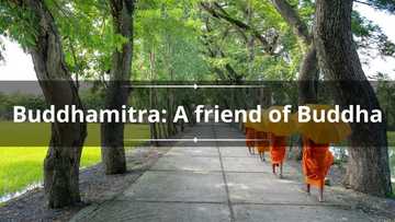 90+ awesome monk names with meanings from different traditions - Legit.ng