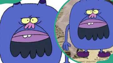 What are the Chowder characters? The creatures and voice actors ...