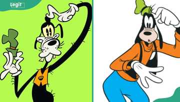 40+ big nose cartoon characters you definitely won't forget - Legit.ng