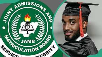 JAMB regularization portal: requirements and how to check status - Legit.ng