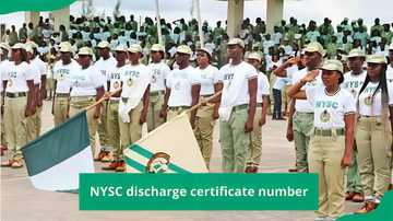 NYSC discharge certificate number: all you need to know - Legit.ng