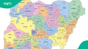 Map of Nigerian Languages Released, Shows State-by-State Breakdown of ...