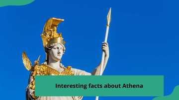10 interesting facts about Athena for lovers of Greek mythology - Legit.ng