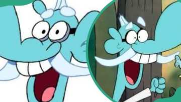 What are the Chowder characters? The creatures and voice actors ...