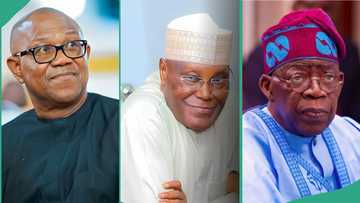 Atiku Reacts As Peter Obi Alleges Threat to Life over New Year Message - Legit.ng