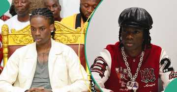 Rema’s New Look As He Flaunts Fancy Dreadlocks Ignites Concerns Online ...