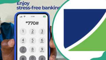 Fidelity Bank transfer code, all Fidelity USSD codes - Legit.ng