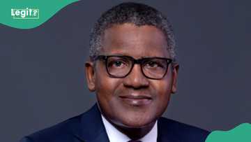 Dangote to Welcome Another Rival as FG Announces Completion Status of Another Refinery - Legit.ng