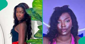 BBNaija 2025: Zita’s Diary Session With Biggie Trends, Leaves Many in ...