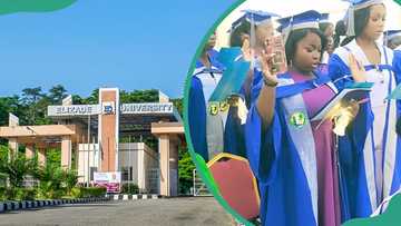 Elizade University courses and fees: Comprehensive breakdown - Legit.ng
