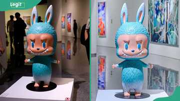 Just a toy? These 10 most expensive Labubu prove how insanely valuable ...