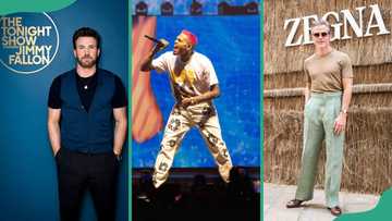 33 famous people named Chris in Hollywood and beyond - Legit.ng