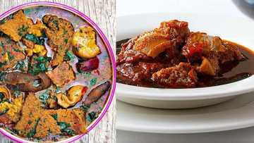 Top 10 Yoruba foods, their names, pictures, and ingredients - Legit.ng