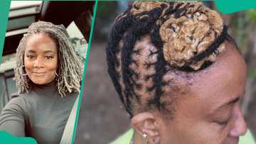 40 great sisterlocks styles that are trendy yet easy to pull off - Legit.ng