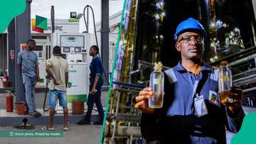 Oil Marketers Share Findings After Allegations NNPC's Petrol Burns Faster Than Dangote’s - Legit.ng