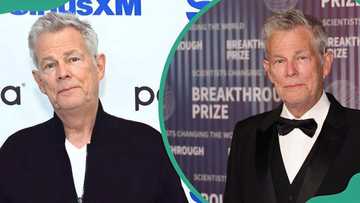 David Foster's net worth (2026): the making of the star's impressive ...
