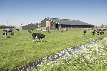 Farm structures: Types, uses, and definitions of agricultural buildings ...