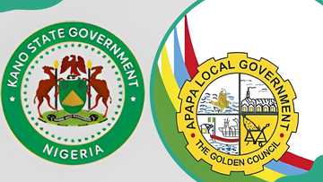 How many local governments are there in the Lagos State of Nigeria ...