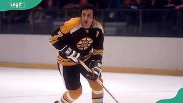Full list of Bruins retired numbers and the stories behind why they ...