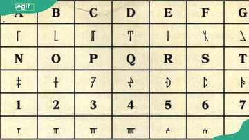 DnD languages: all fifth edition languages explained in detail - Legit.ng