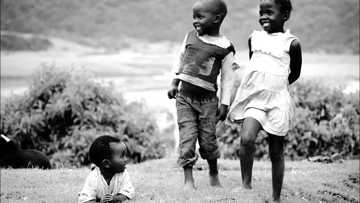 Which is the strongest genotype? Top 10 strongest genes - Legit.ng